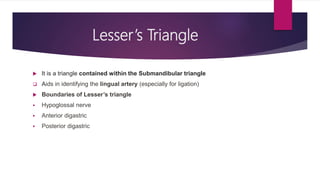 Anatomy of submental and submandibular triangles | PPTX