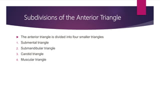 Anatomy of submental and submandibular triangles | PPTX