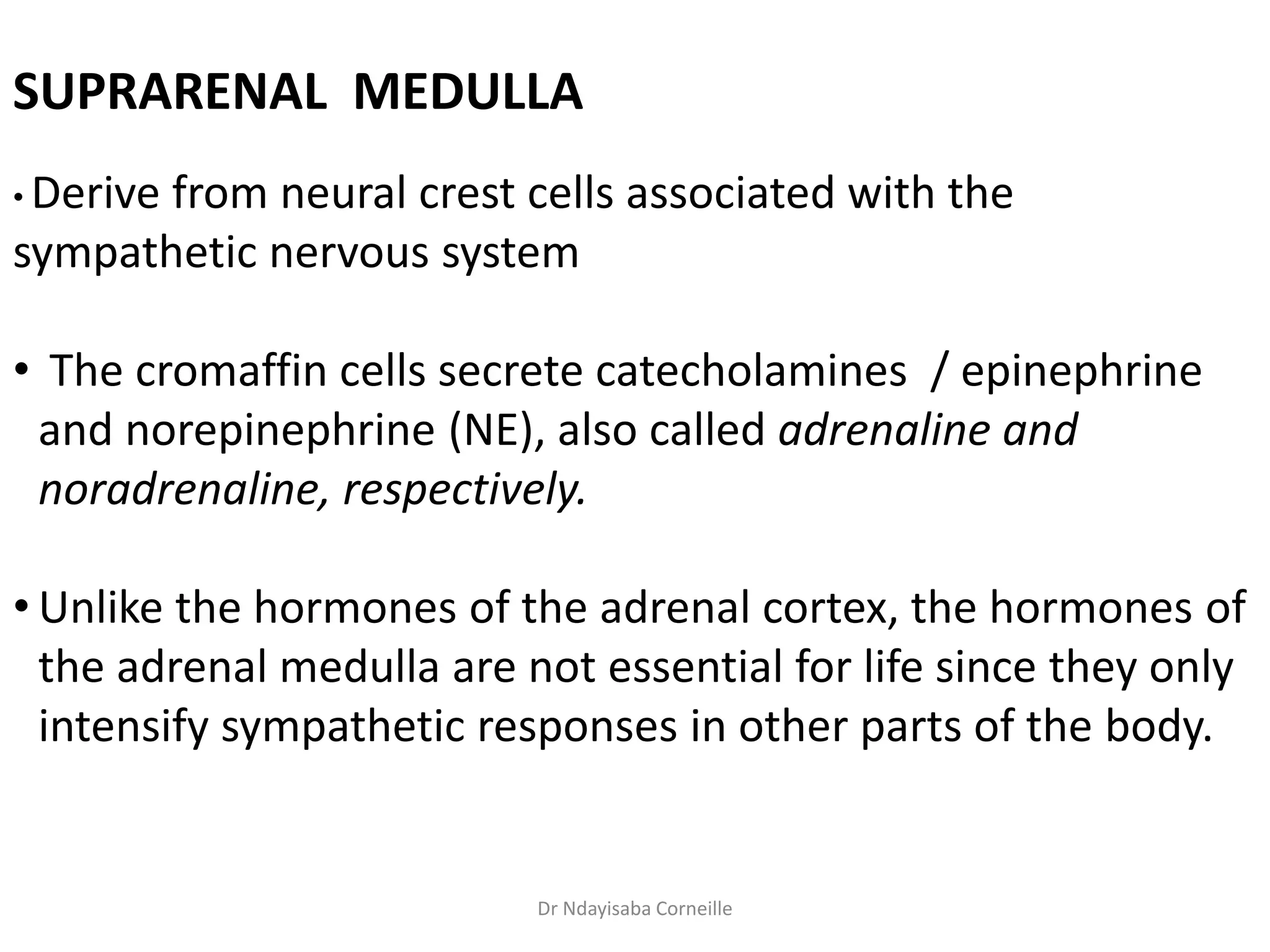 Anatomy of Suprarenal (Adrenal) Glands.pptx