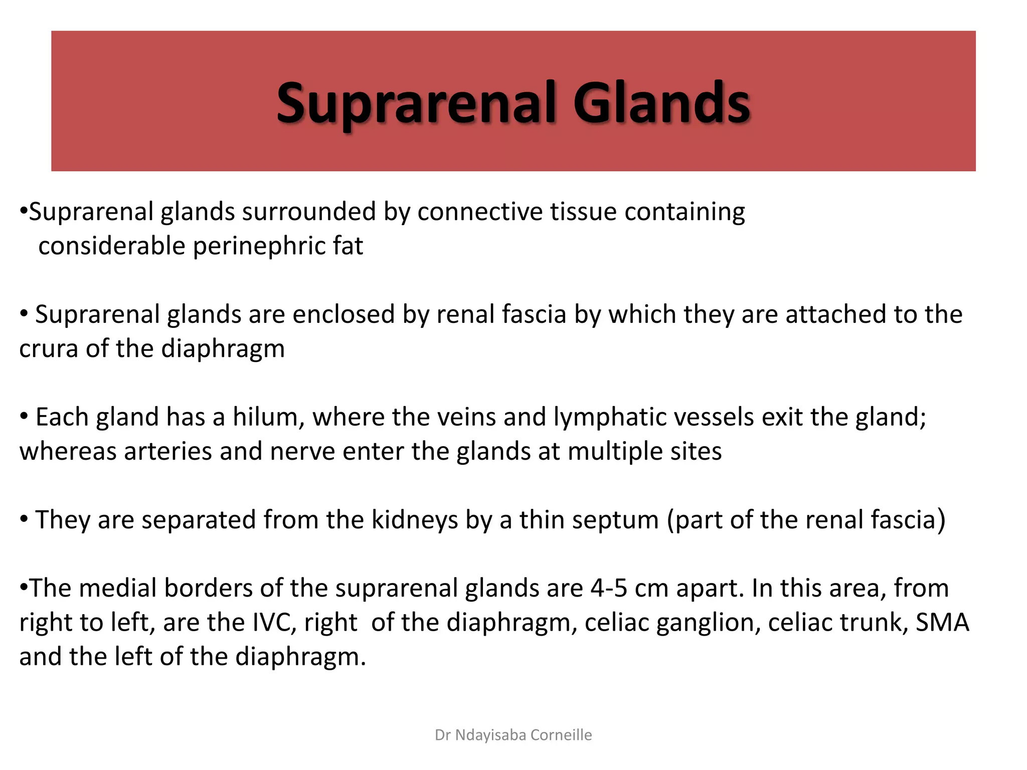 Anatomy of Suprarenal (Adrenal) Glands.pptx