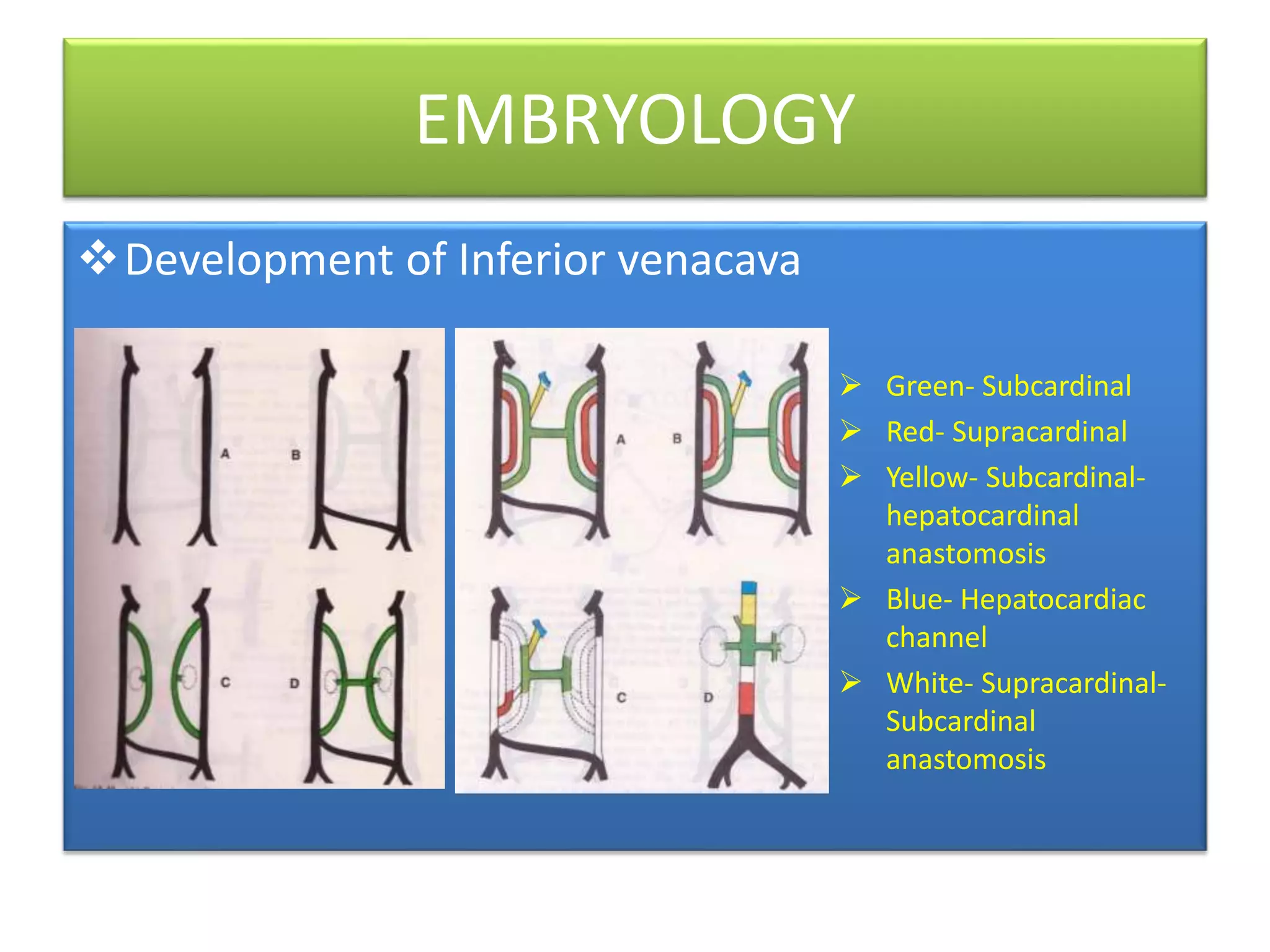 Development of great veins and surgical importance | PPSX
