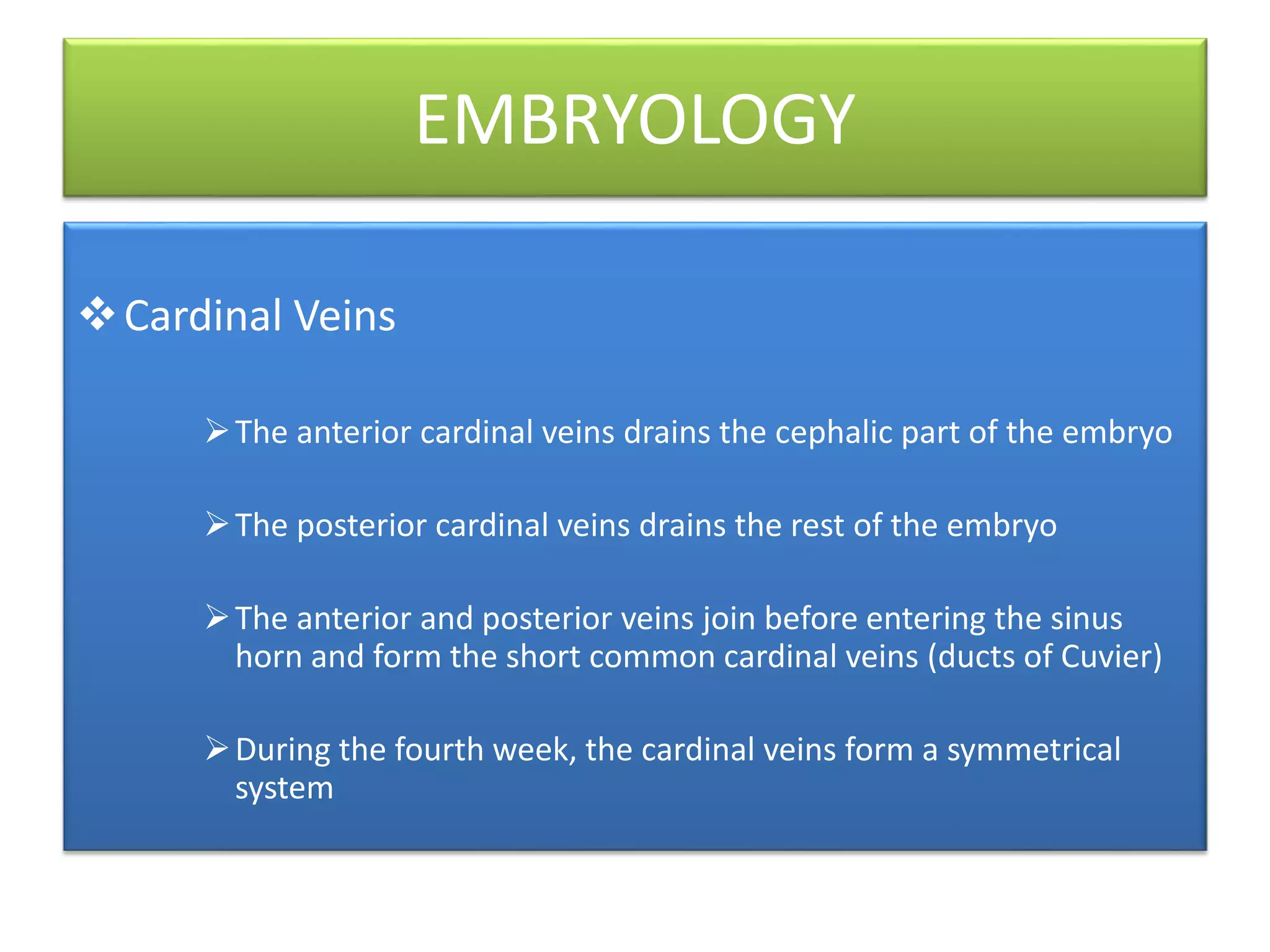 Development of great veins and surgical importance | PPSX