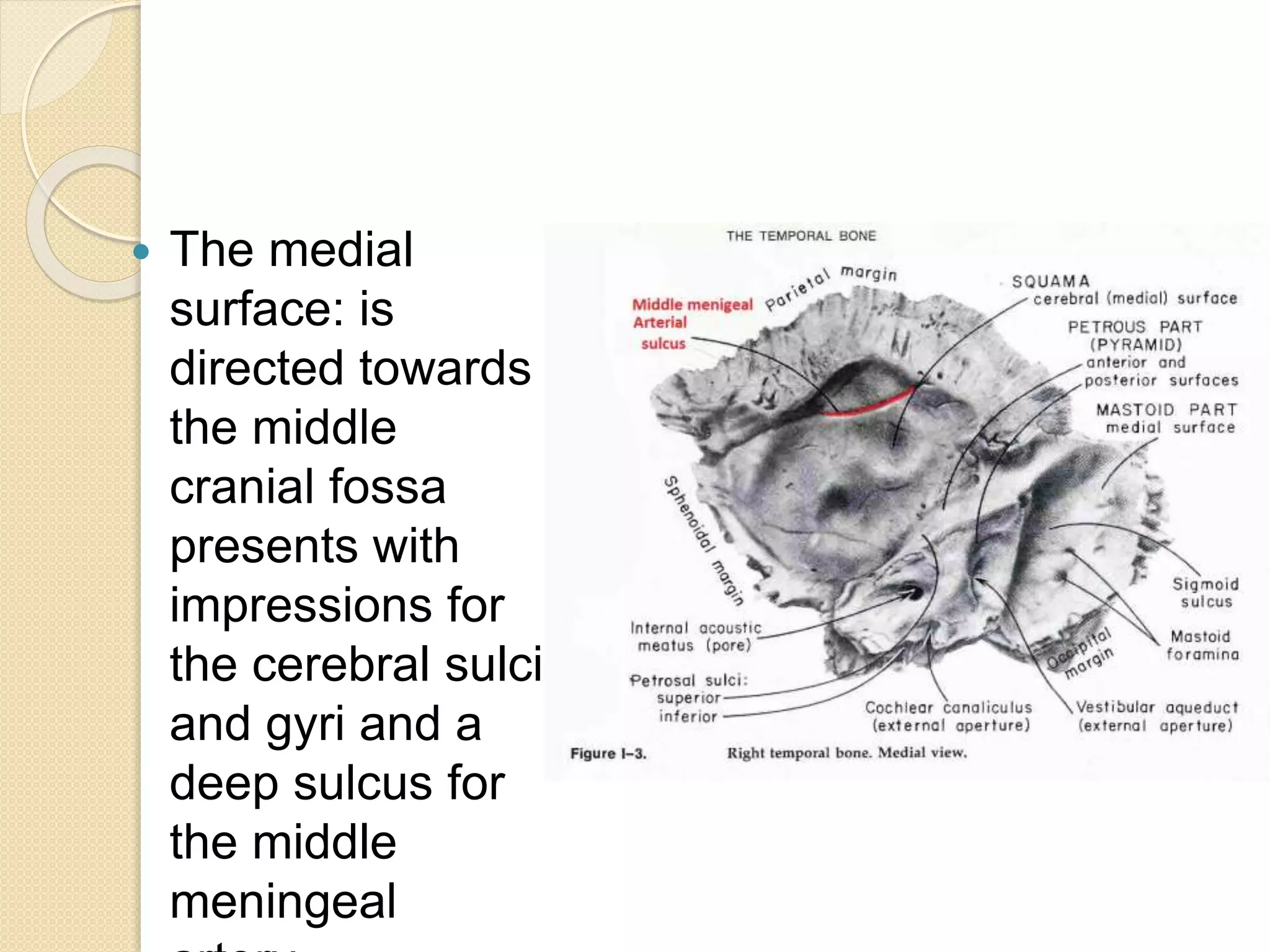 Anatomy of temporal bone By Dr.Vijay kumar , AMU | PPTX