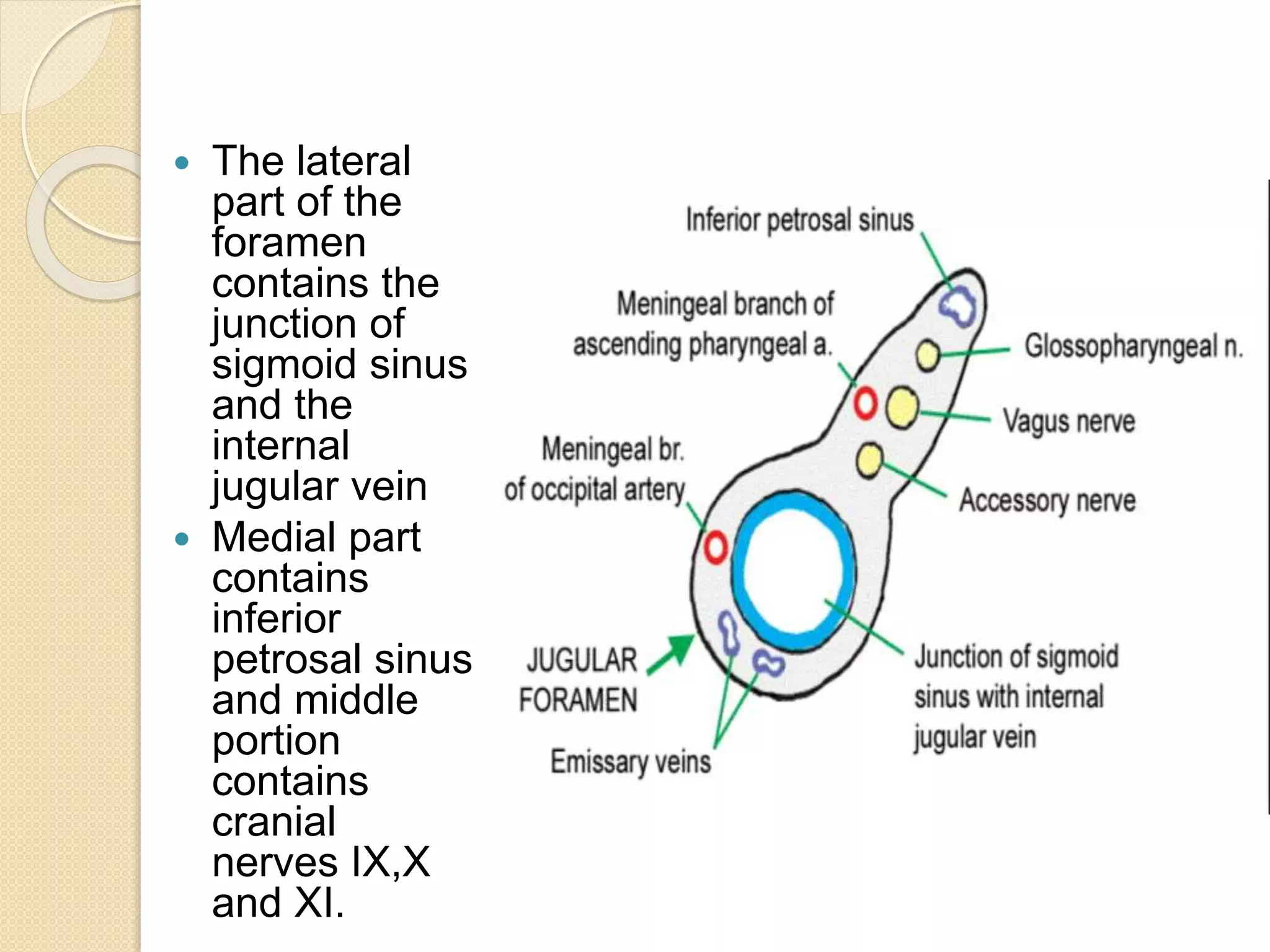 Anatomy of temporal bone By Dr.Vijay kumar , AMU | PPTX