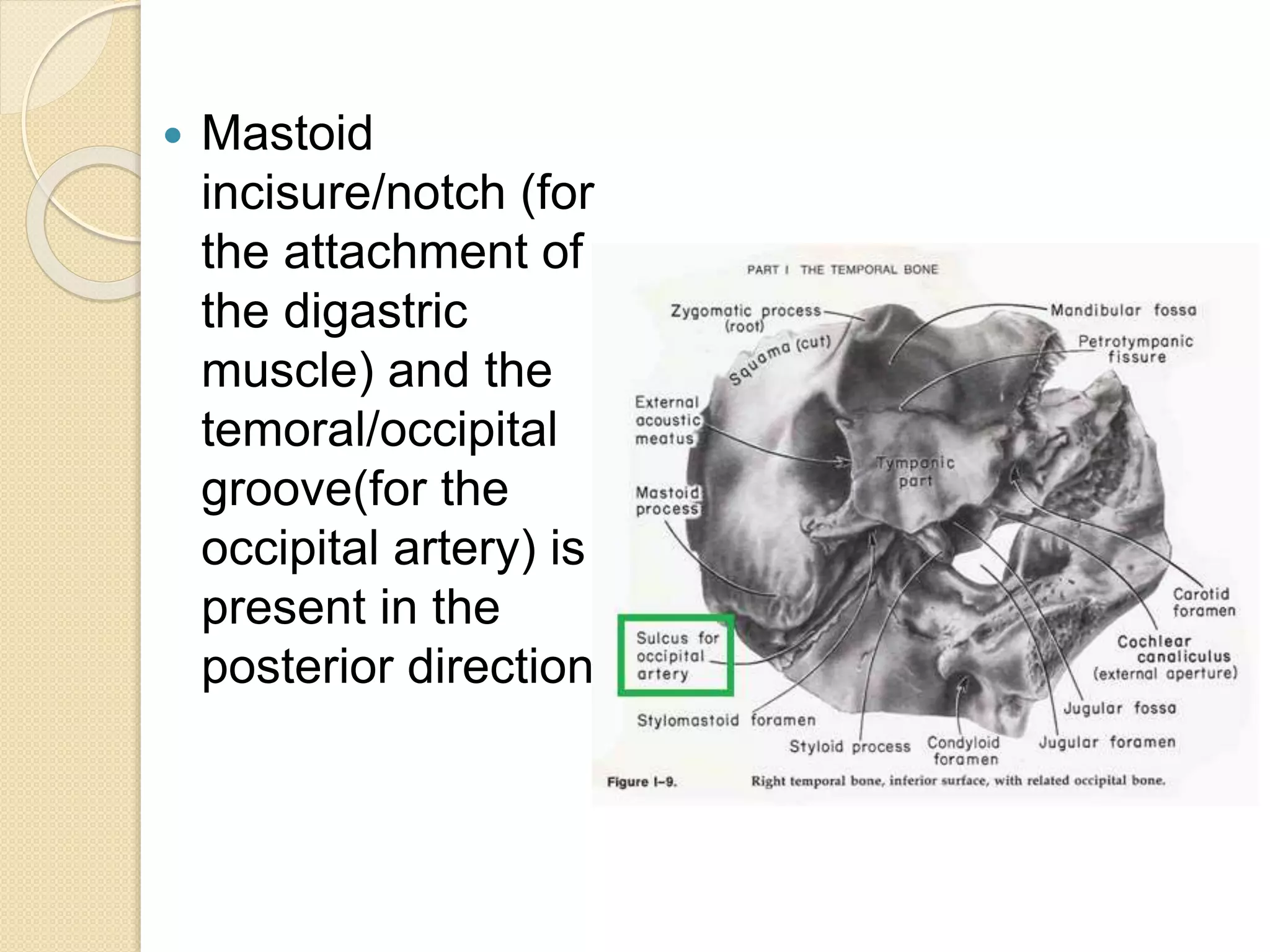Anatomy of temporal bone By Dr.Vijay kumar , AMU | PPTX