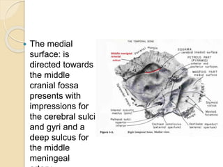 Anatomy of temporal bone By Dr.Vijay kumar , AMU | PPTX