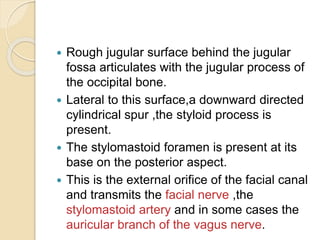 Anatomy of temporal bone By Dr.Vijay kumar , AMU | PPTX