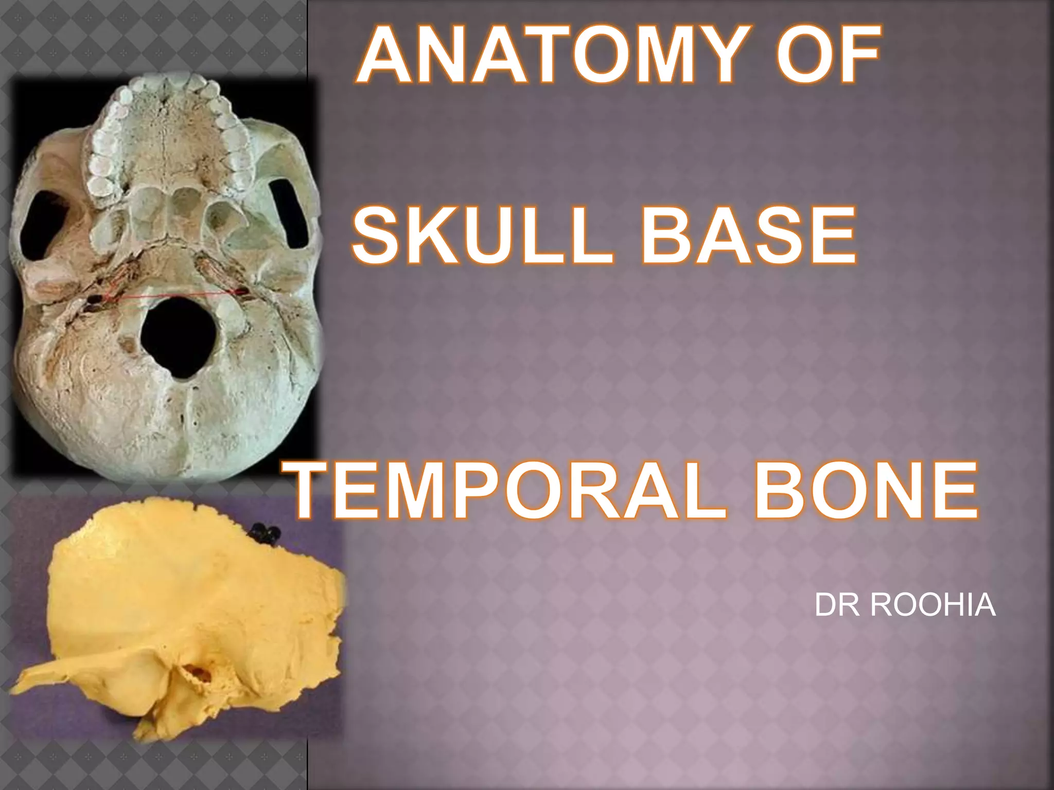 Anatomy of temporal bone and skull base | PPTX