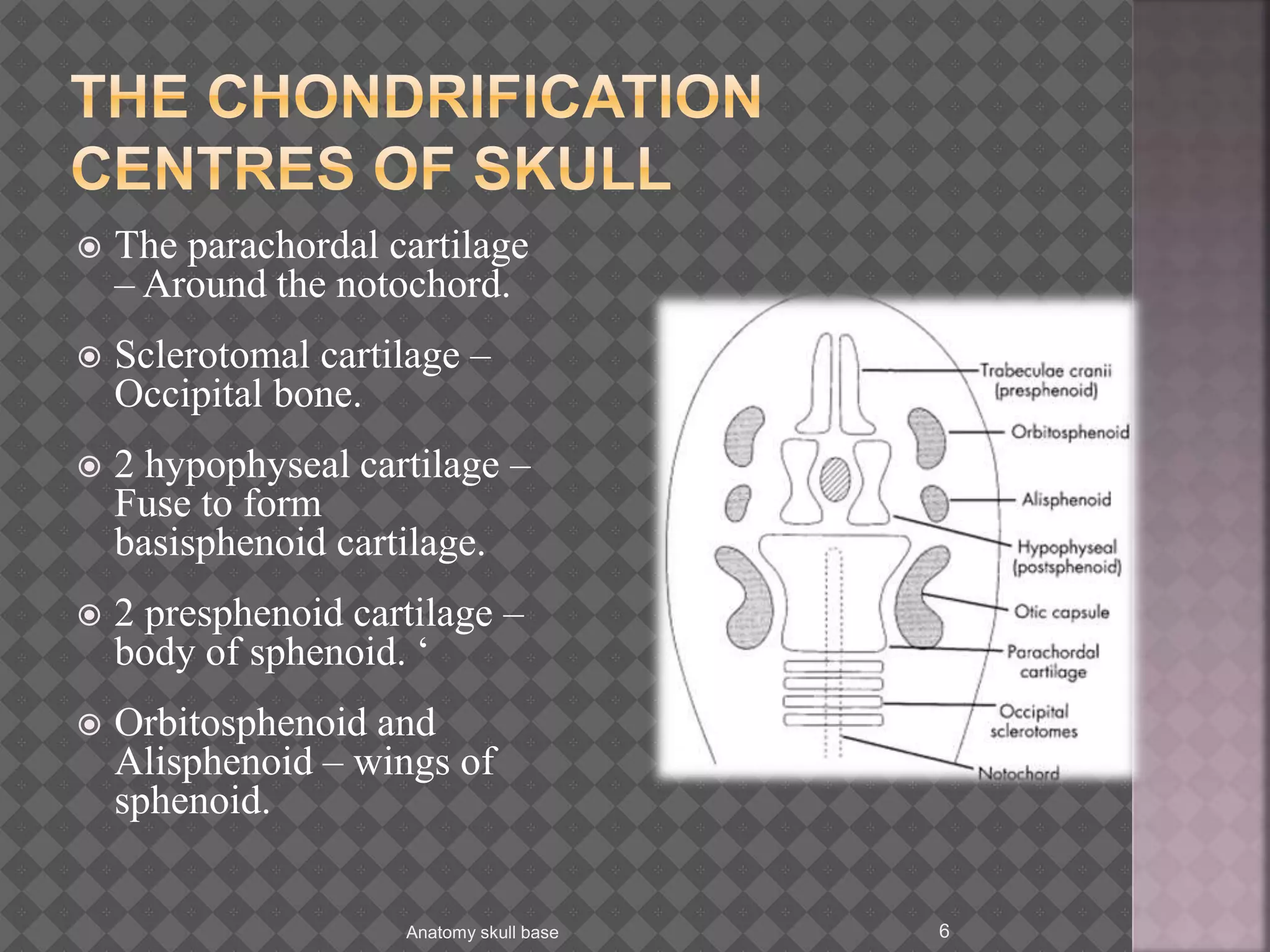 Anatomy of temporal bone and skull base | PPTX