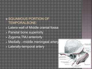 Anatomy of temporal bone and skull base | PPTX