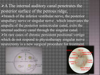 Anatomy of temporal bone and skull base | PPTX