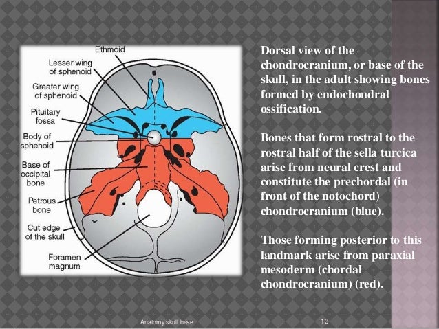 Anatomy of temporal bone and skull base