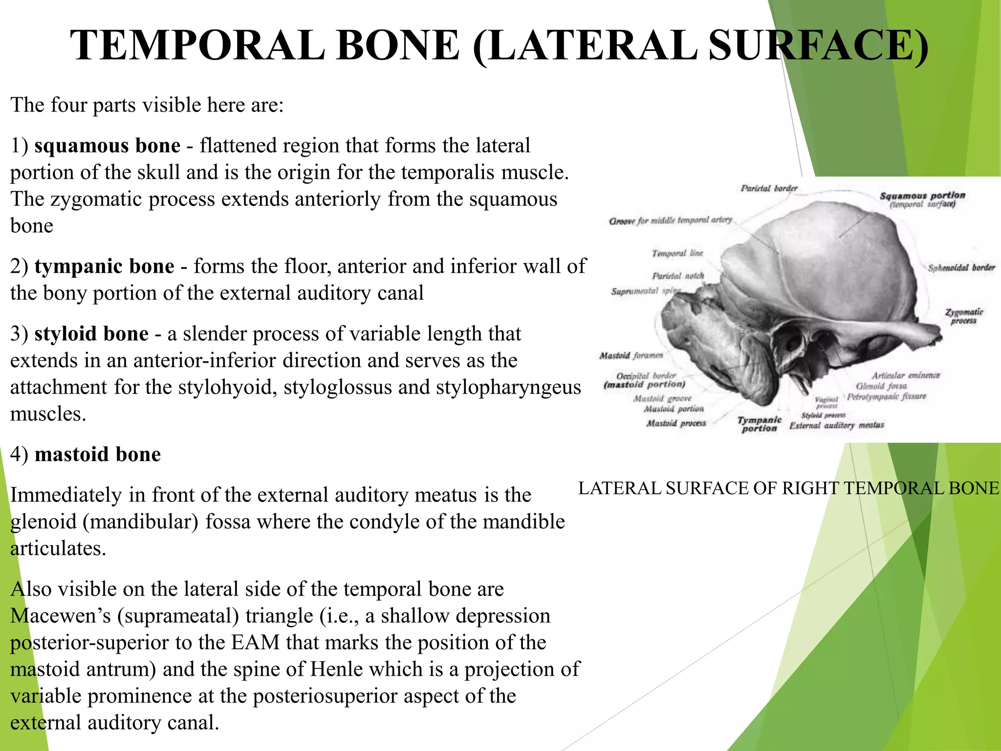 Anatomy of temporal bone and it’s surgical importance | PPTX