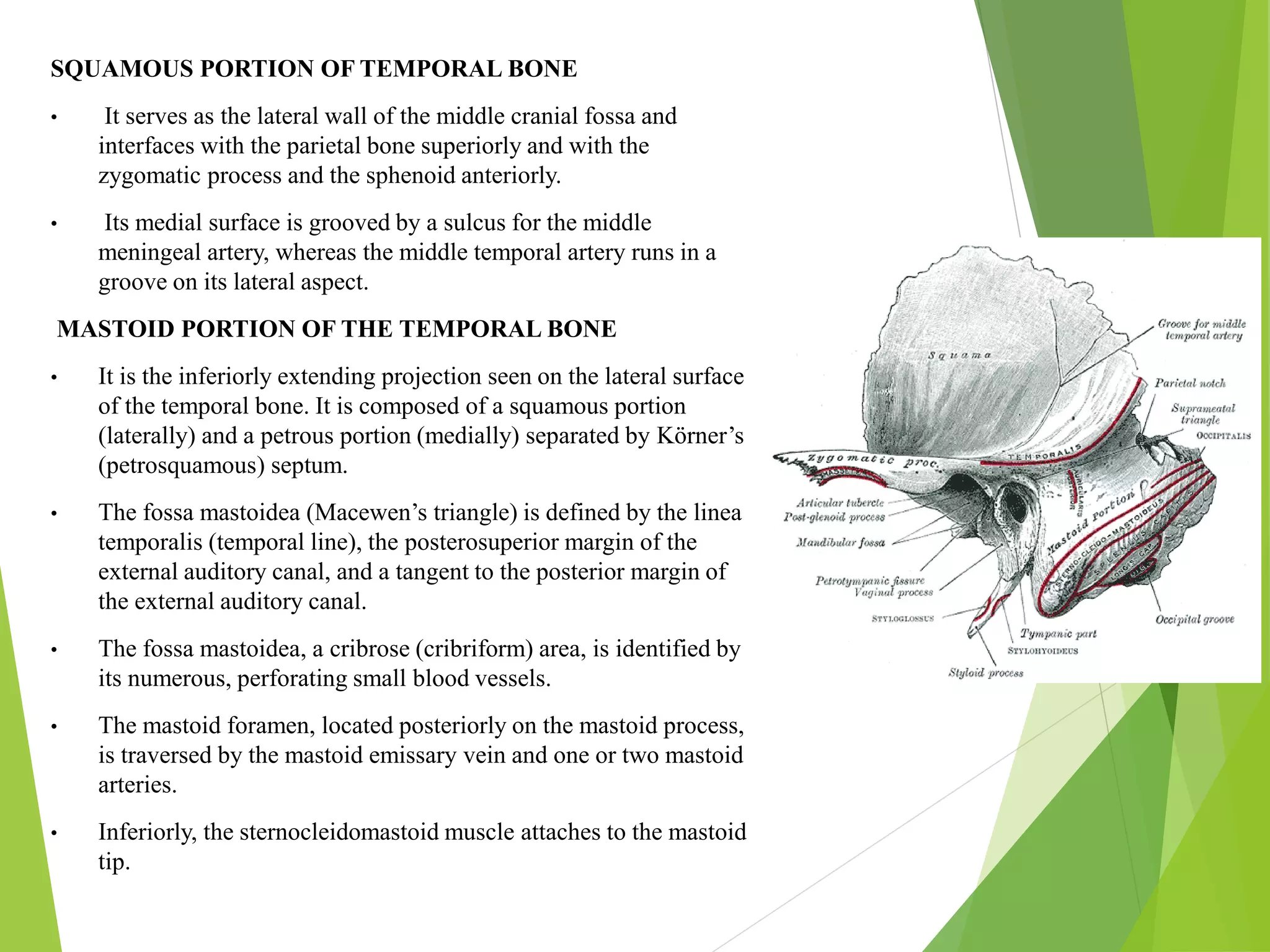 Anatomy of temporal bone and it’s surgical importance | PPTX