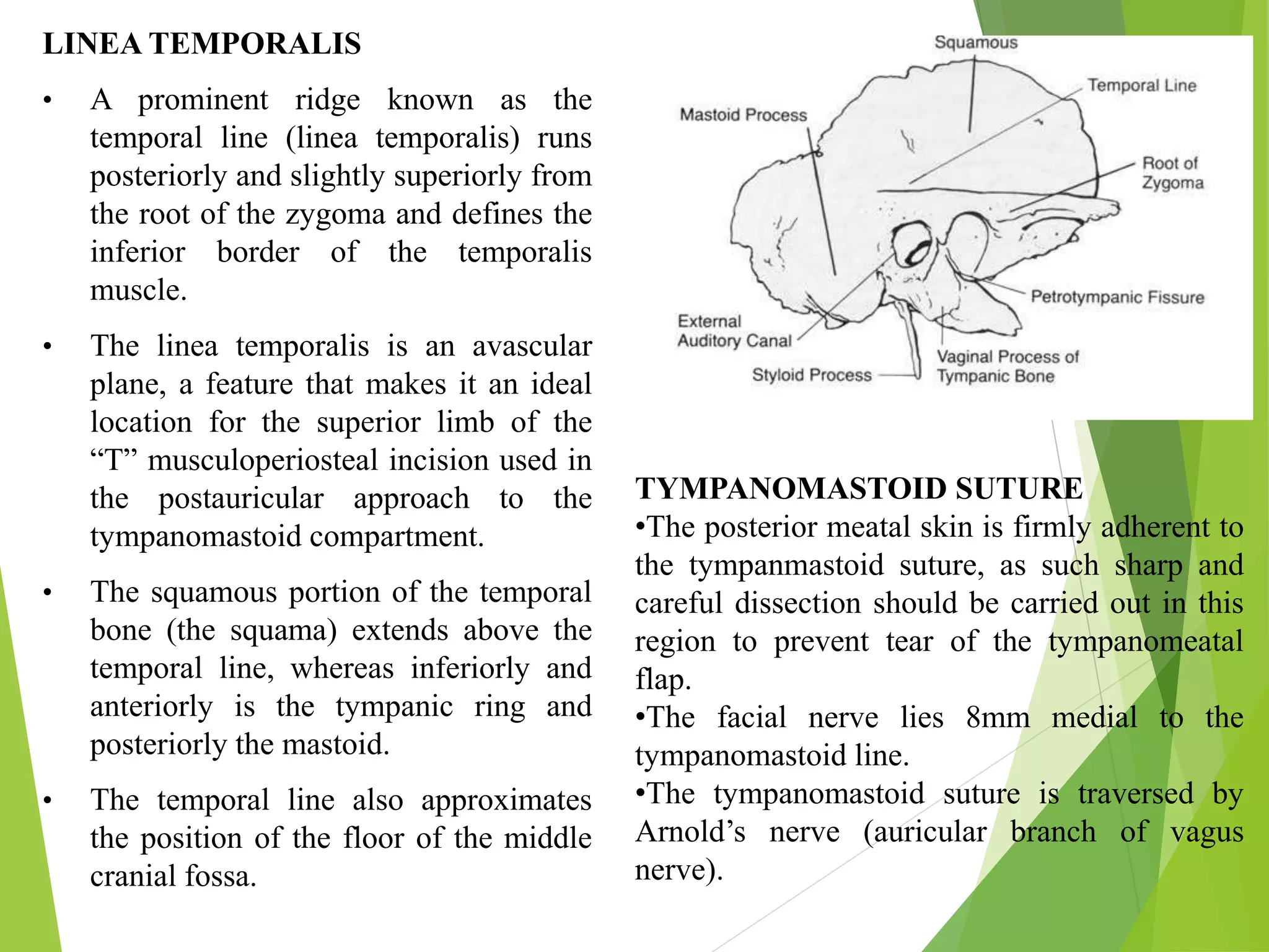 Anatomy of temporal bone and it’s surgical importance | PPTX
