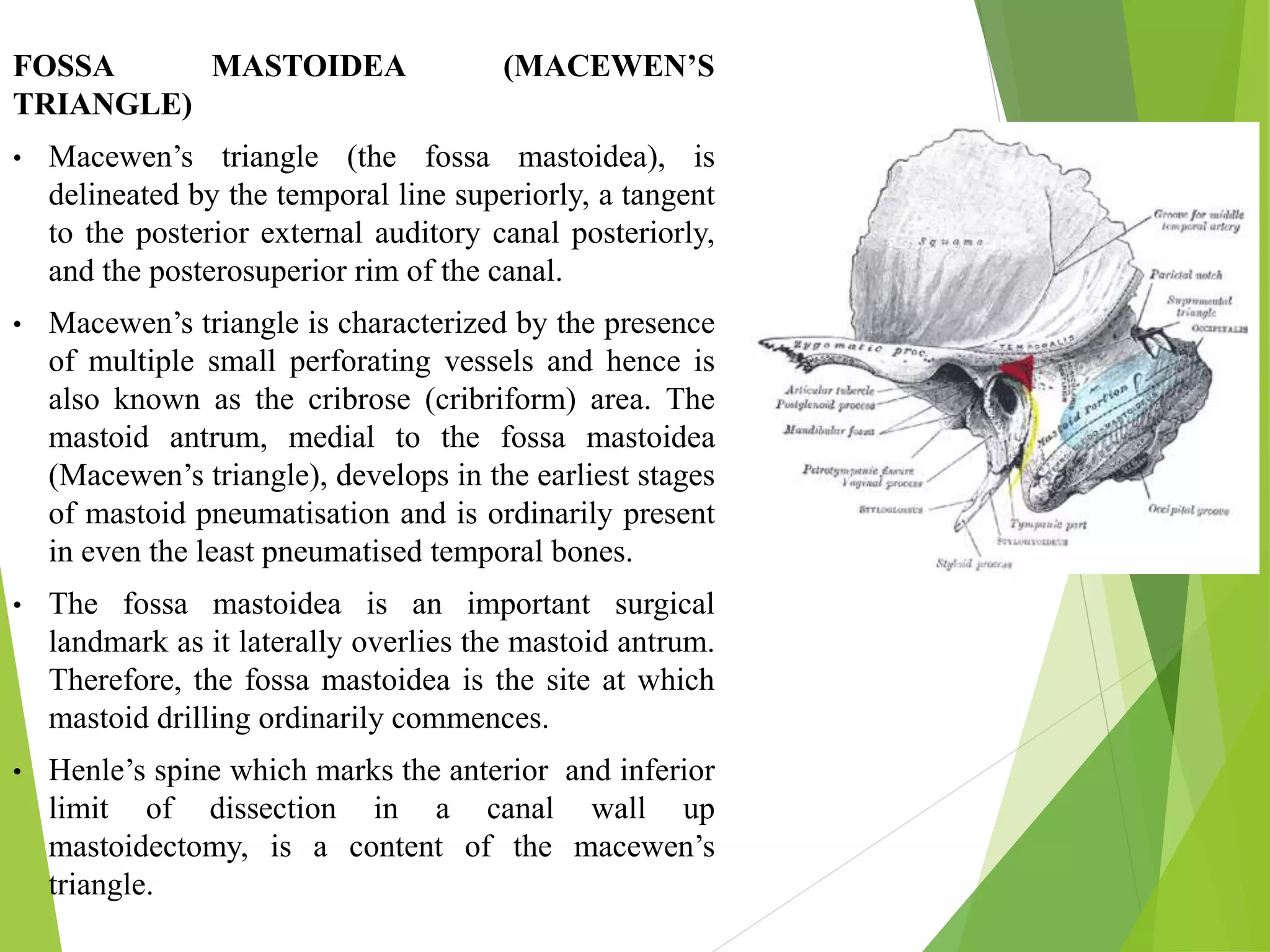 Anatomy of temporal bone and it’s surgical importance | PPTX