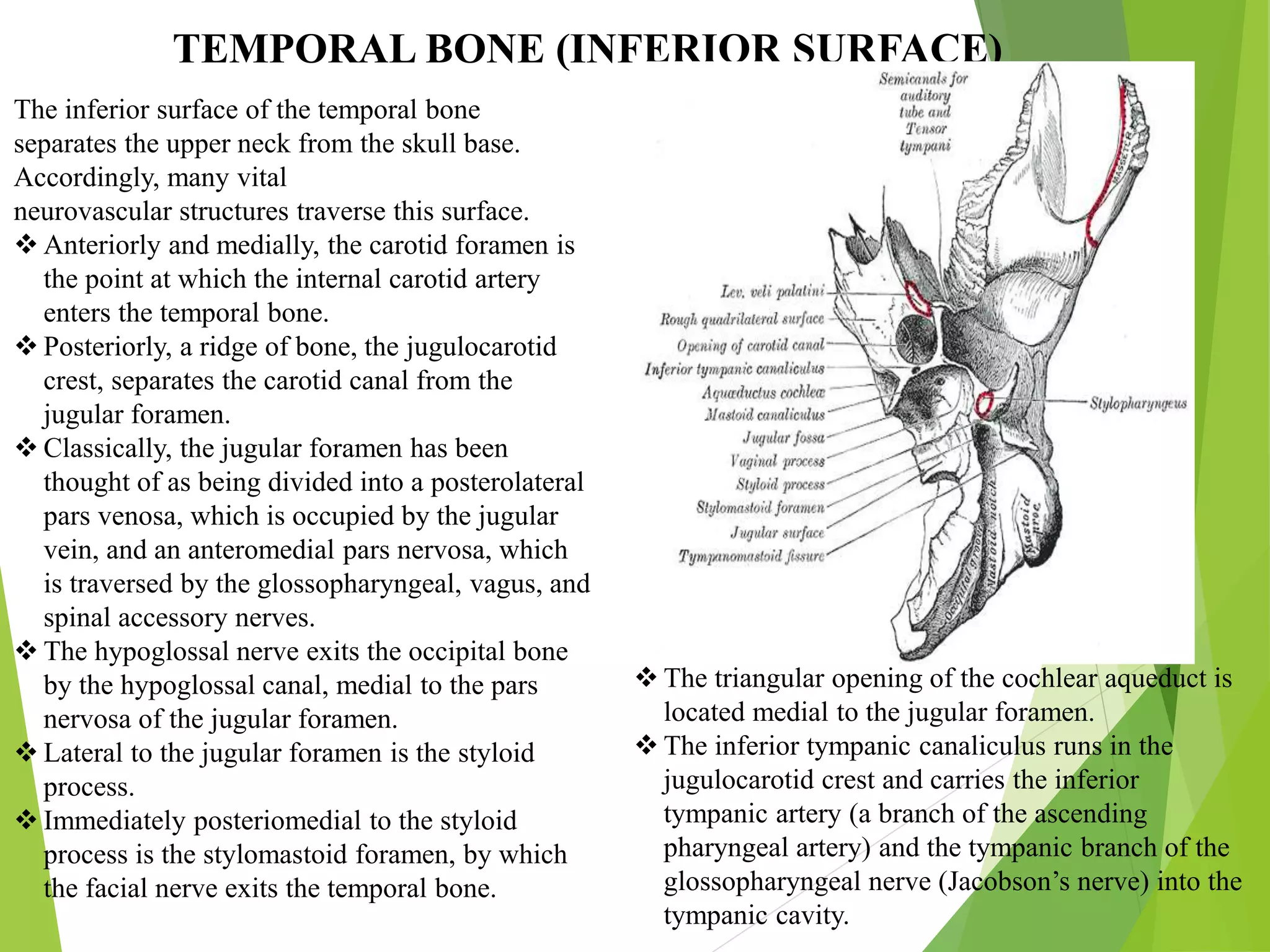 Anatomy of temporal bone and it’s surgical importance | PPTX