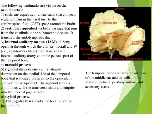 Anatomy of temporal bone and it’s surgical importance