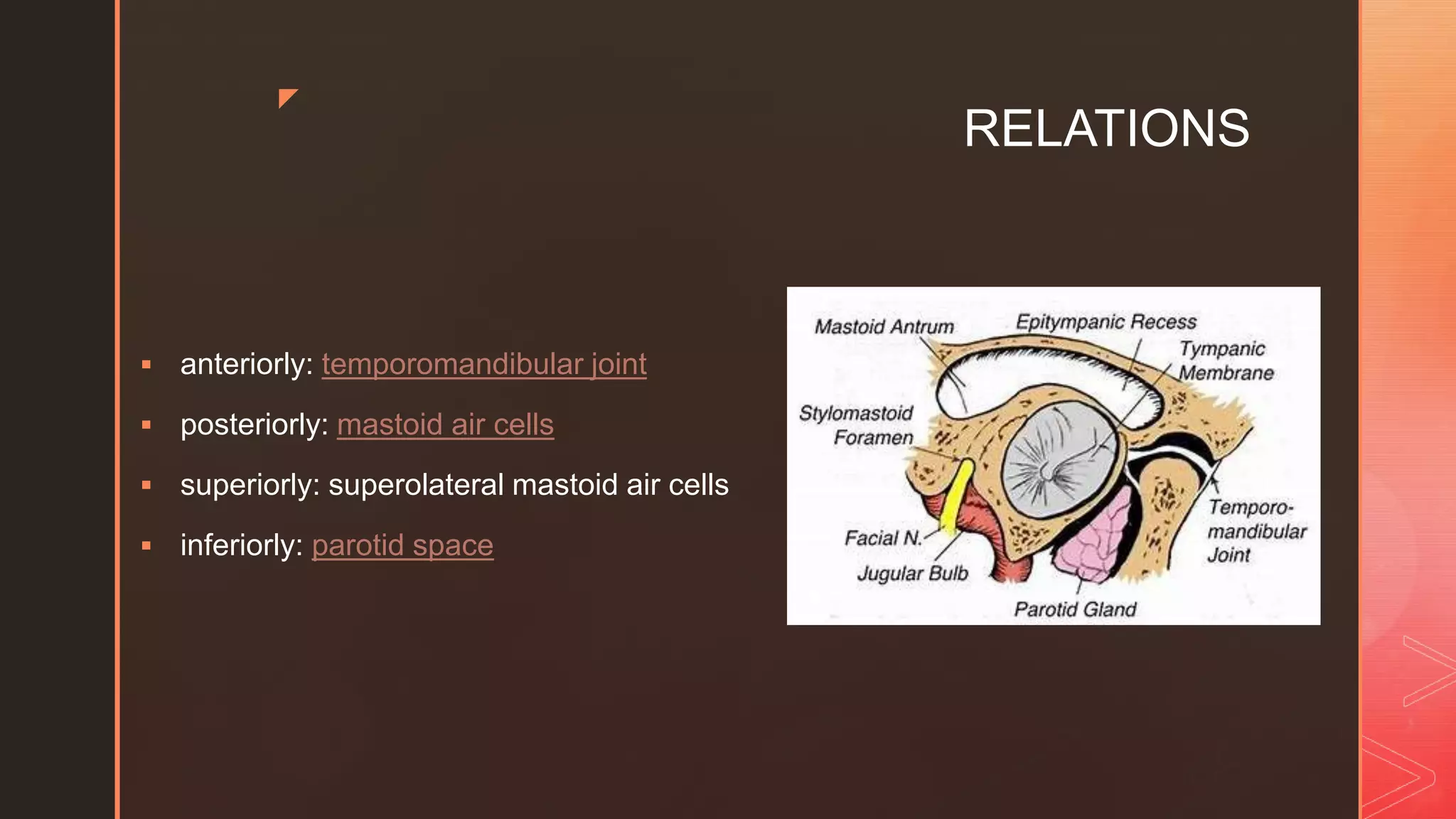 Anatomy of temporal bone final | PPTX