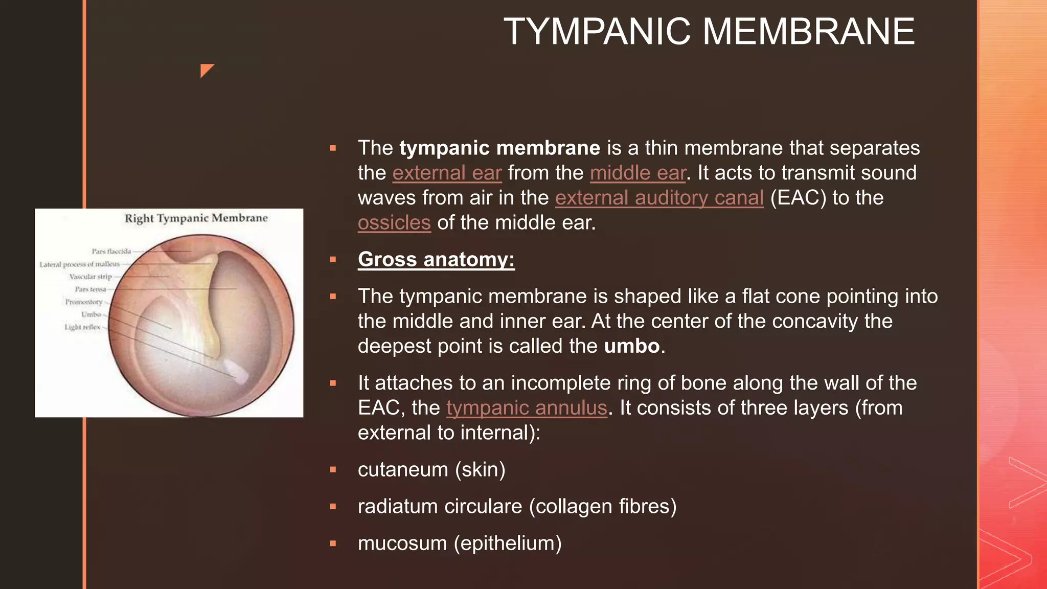 Anatomy of temporal bone final | PPTX