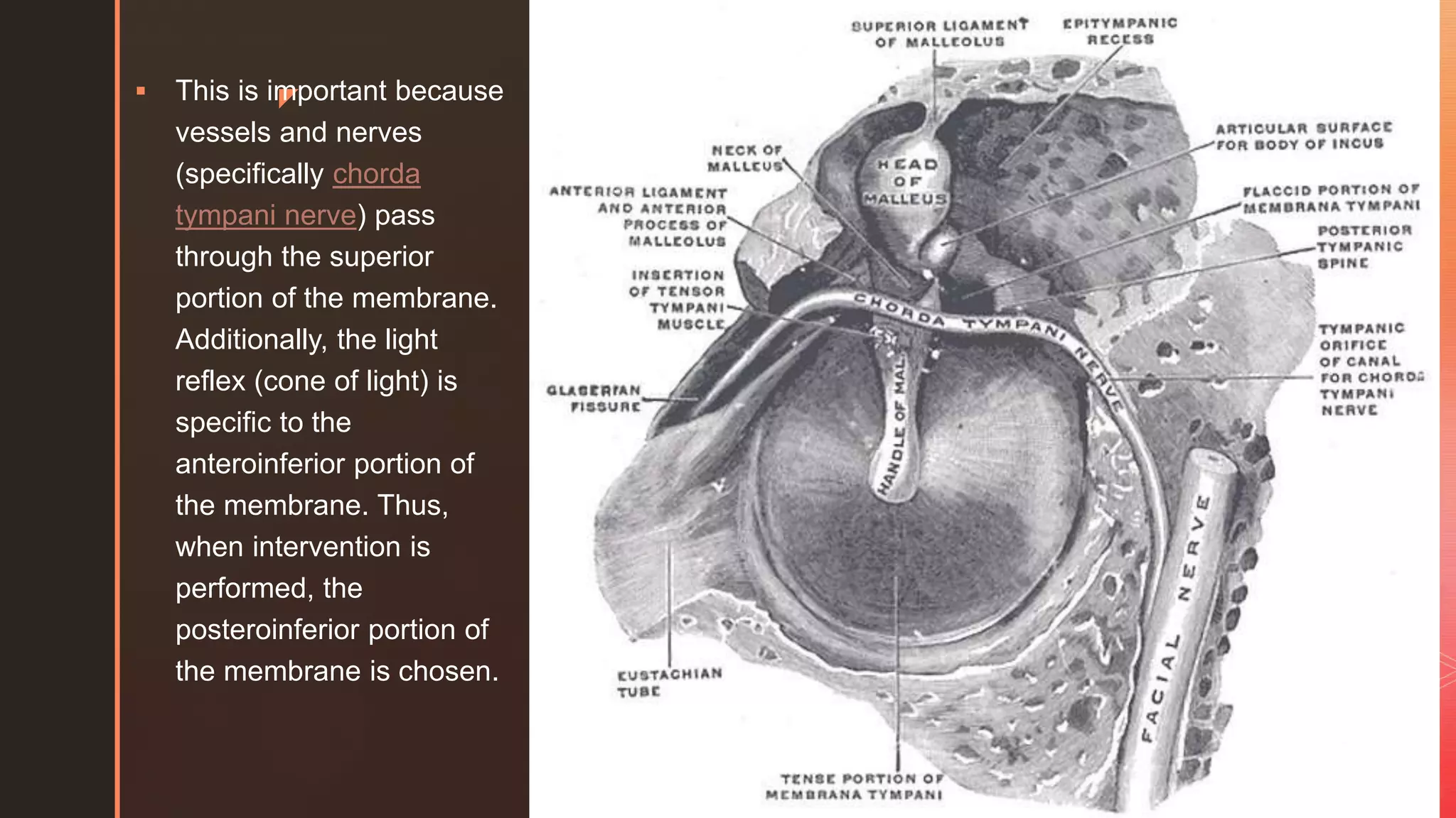 Anatomy of temporal bone final | PPTX