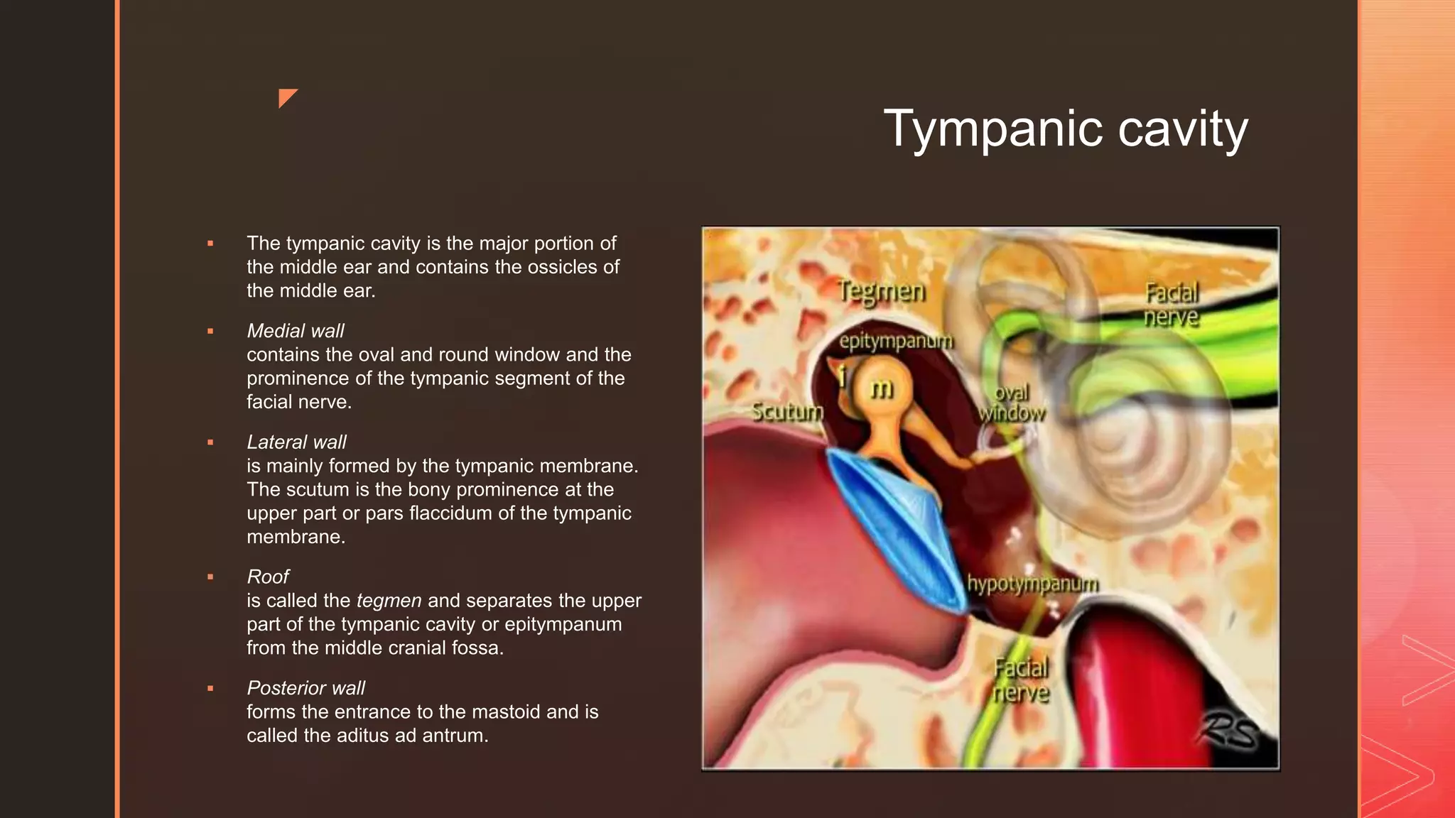 Anatomy of temporal bone final | PPTX