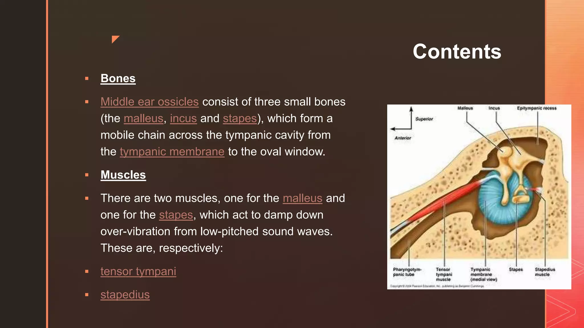 Anatomy of temporal bone final | PPTX