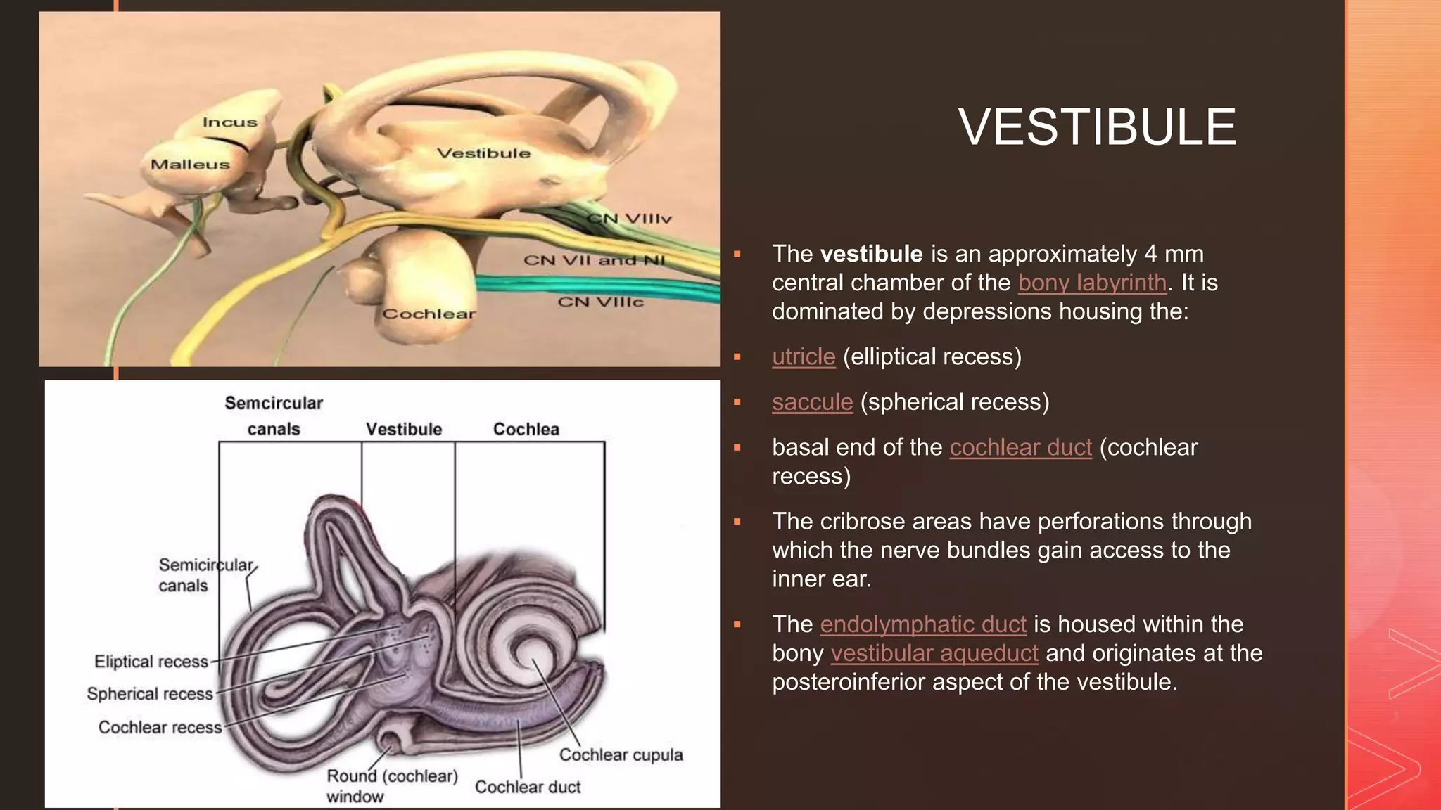 Anatomy of temporal bone final | PPTX