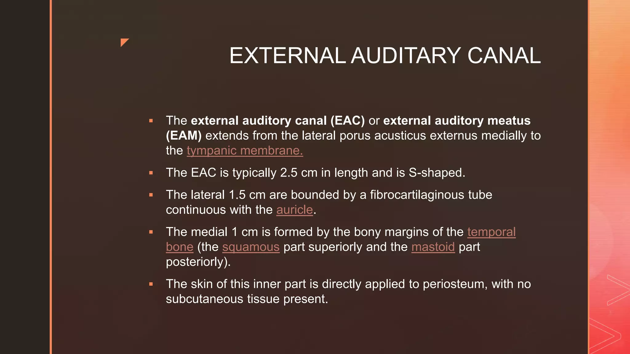 Anatomy of temporal bone final | PPTX