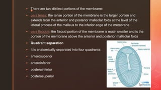 Anatomy of temporal bone final | PPTX