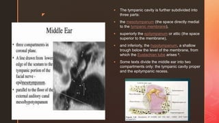 Anatomy of temporal bone final | PPTX