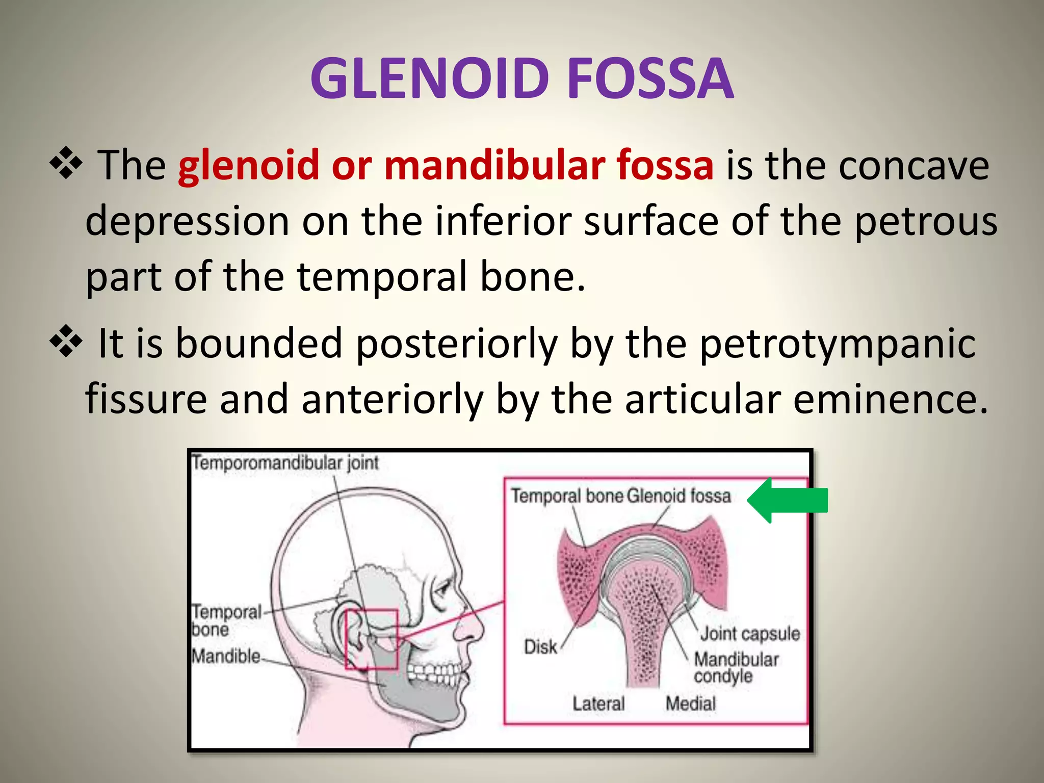 anatomyoftemporomandibularjoint-210112114624.pdf