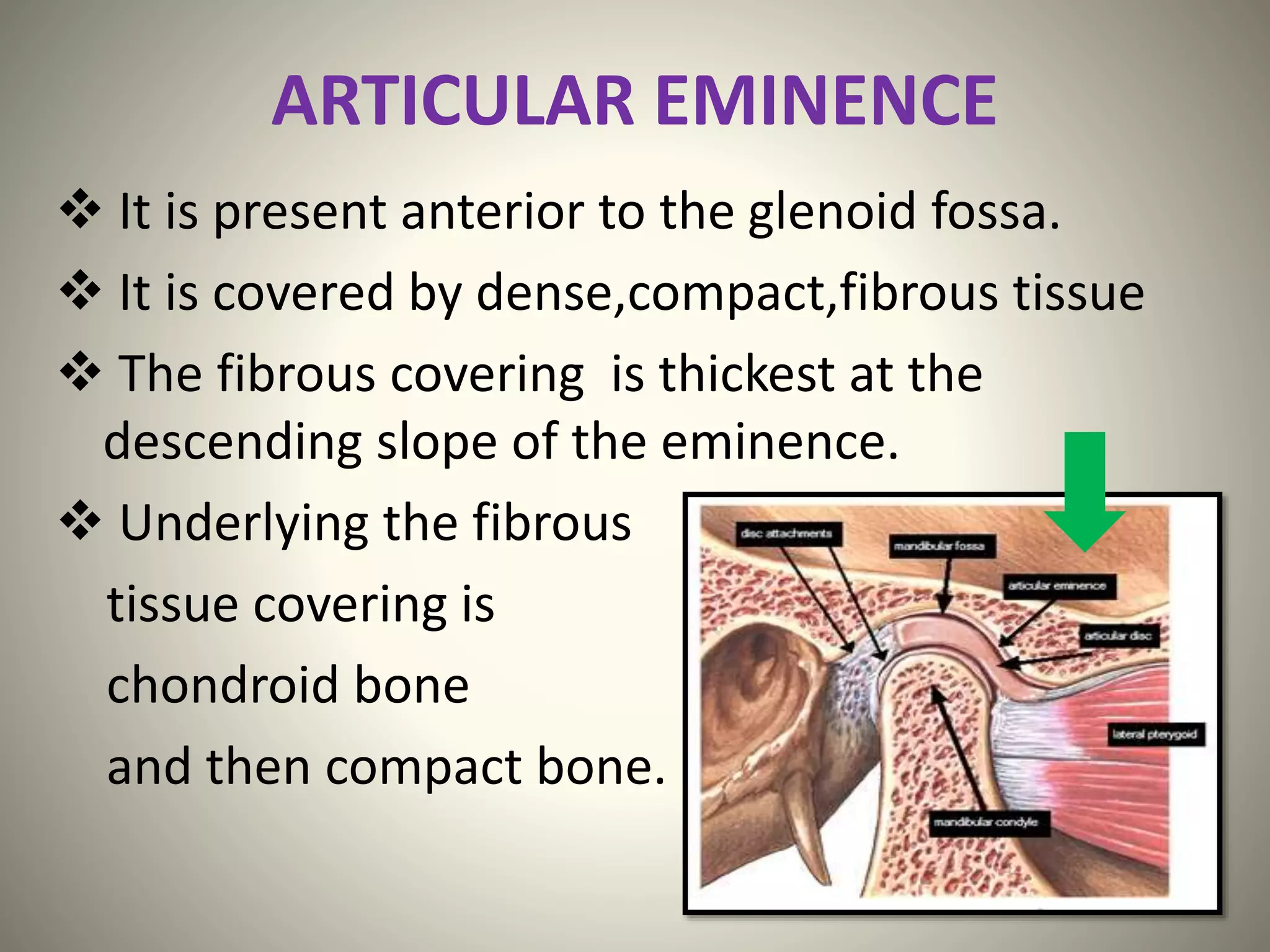 anatomyoftemporomandibularjoint-210112114624.pdf