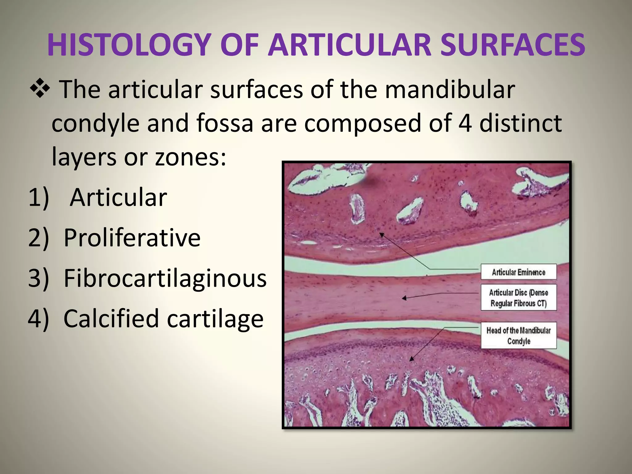 anatomyoftemporomandibularjoint-210112114624.pdf