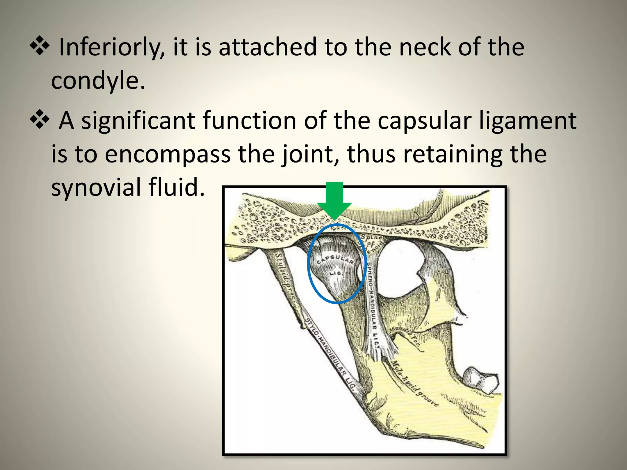 anatomyoftemporomandibularjoint-210112114624.pdf