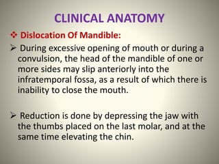 anatomyoftemporomandibularjoint-210112114624.pdf
