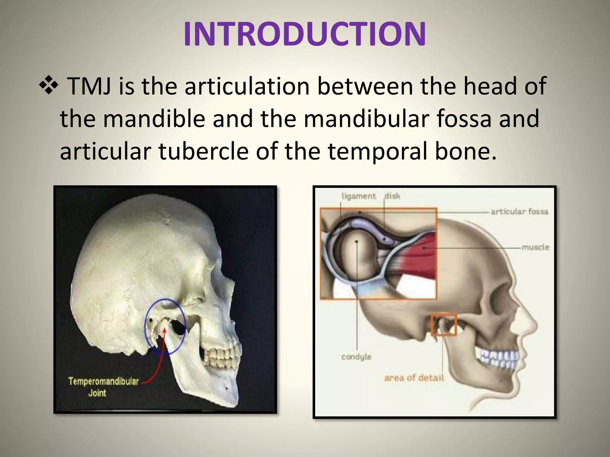 Anatomy of temporomandibular joint | PPTX