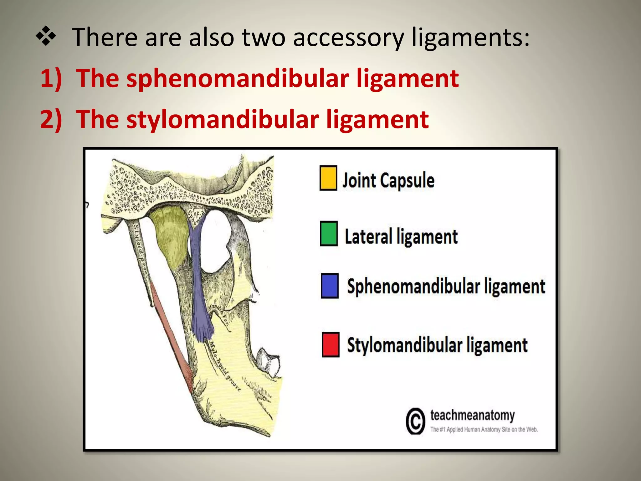 Anatomy of temporomandibular joint | PPTX