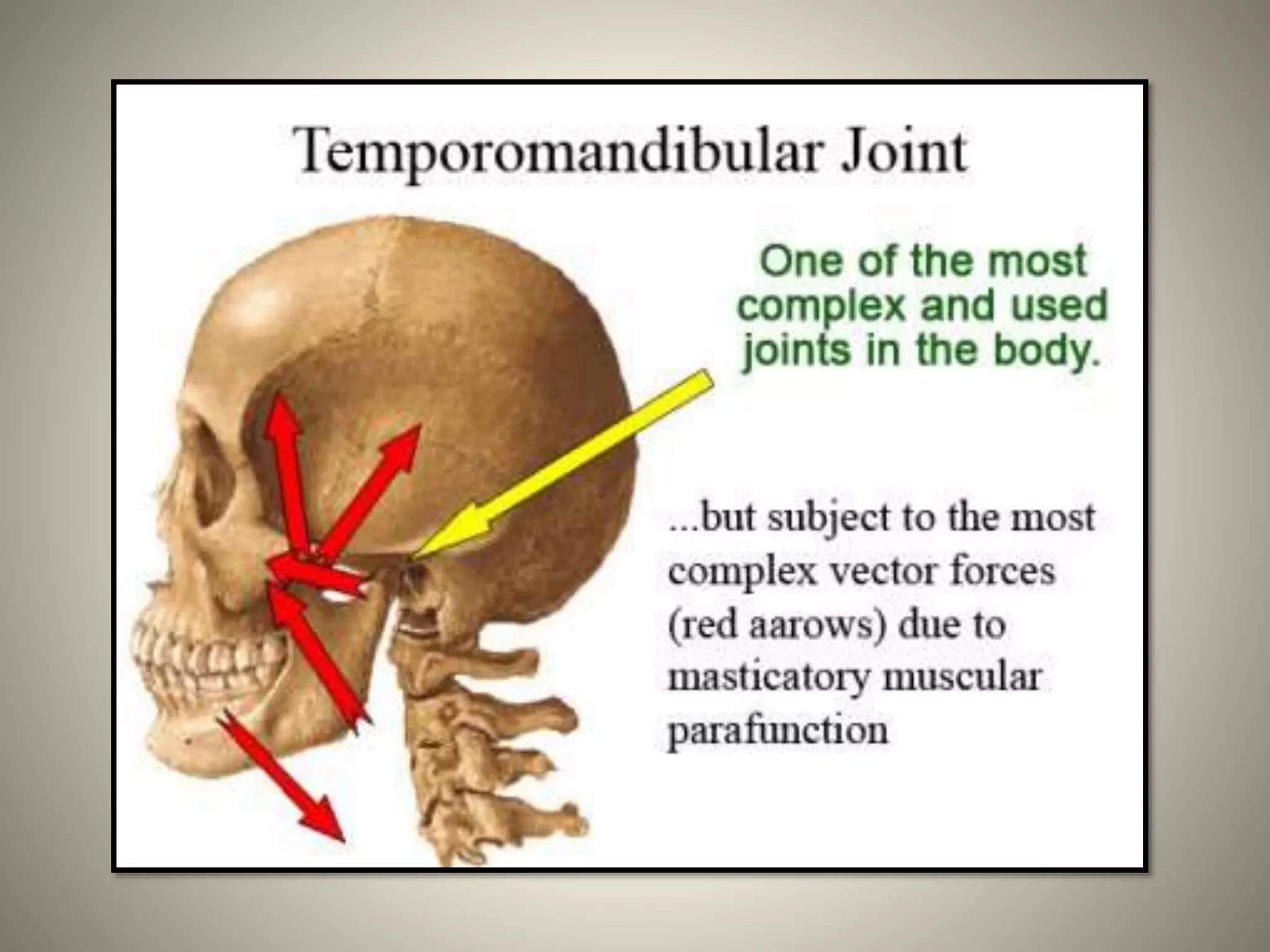 Anatomy of temporomandibular joint | PPTX