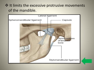 Anatomy of temporomandibular joint | PPTX