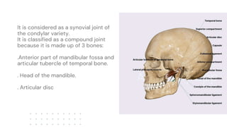 ANATOMY OF TEMPOROMANDIBULAR JOINT_20240826_210759_0000.pdf