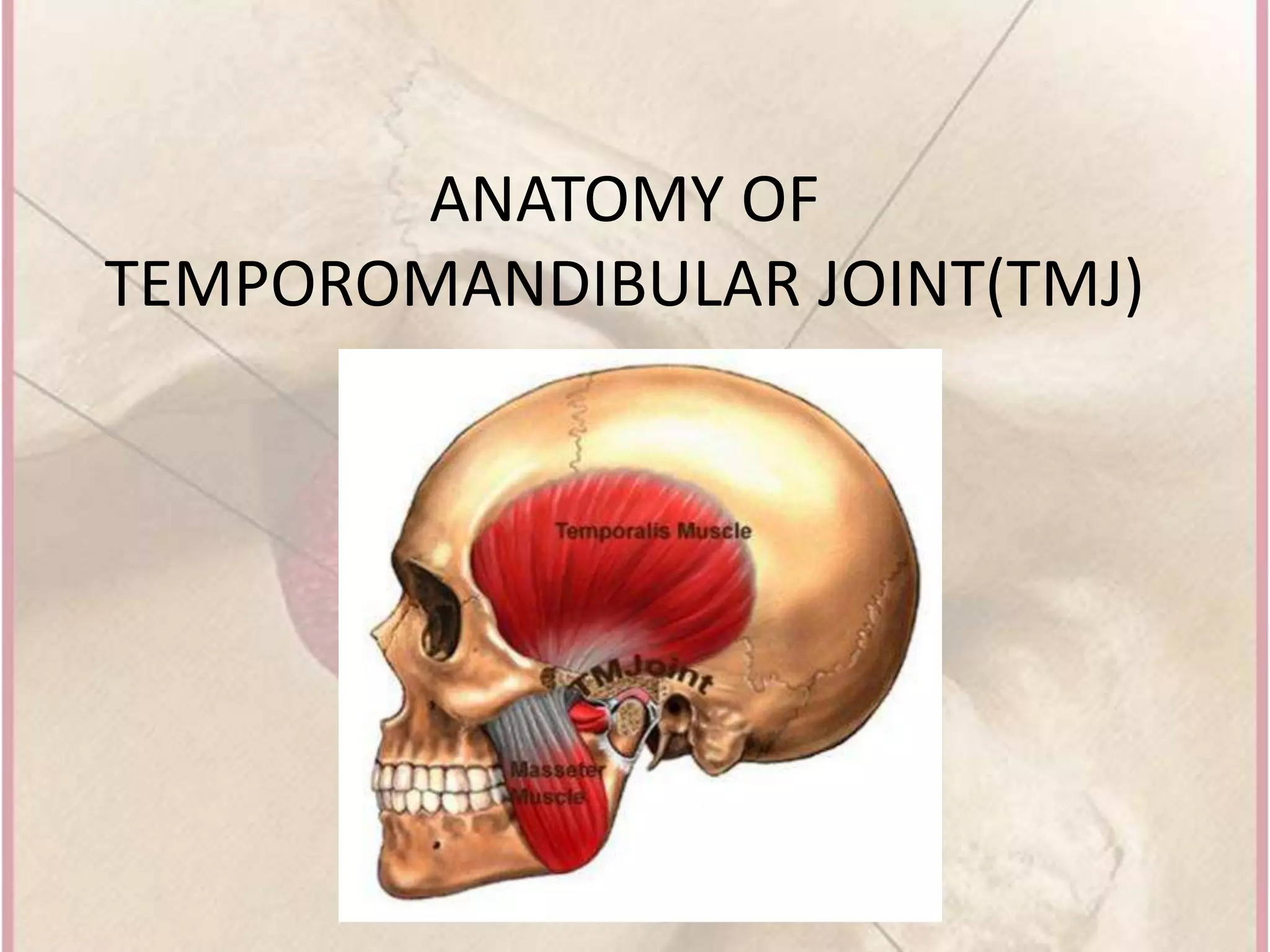 Anatomy of temporomandibular joint(tmj) | PPTX