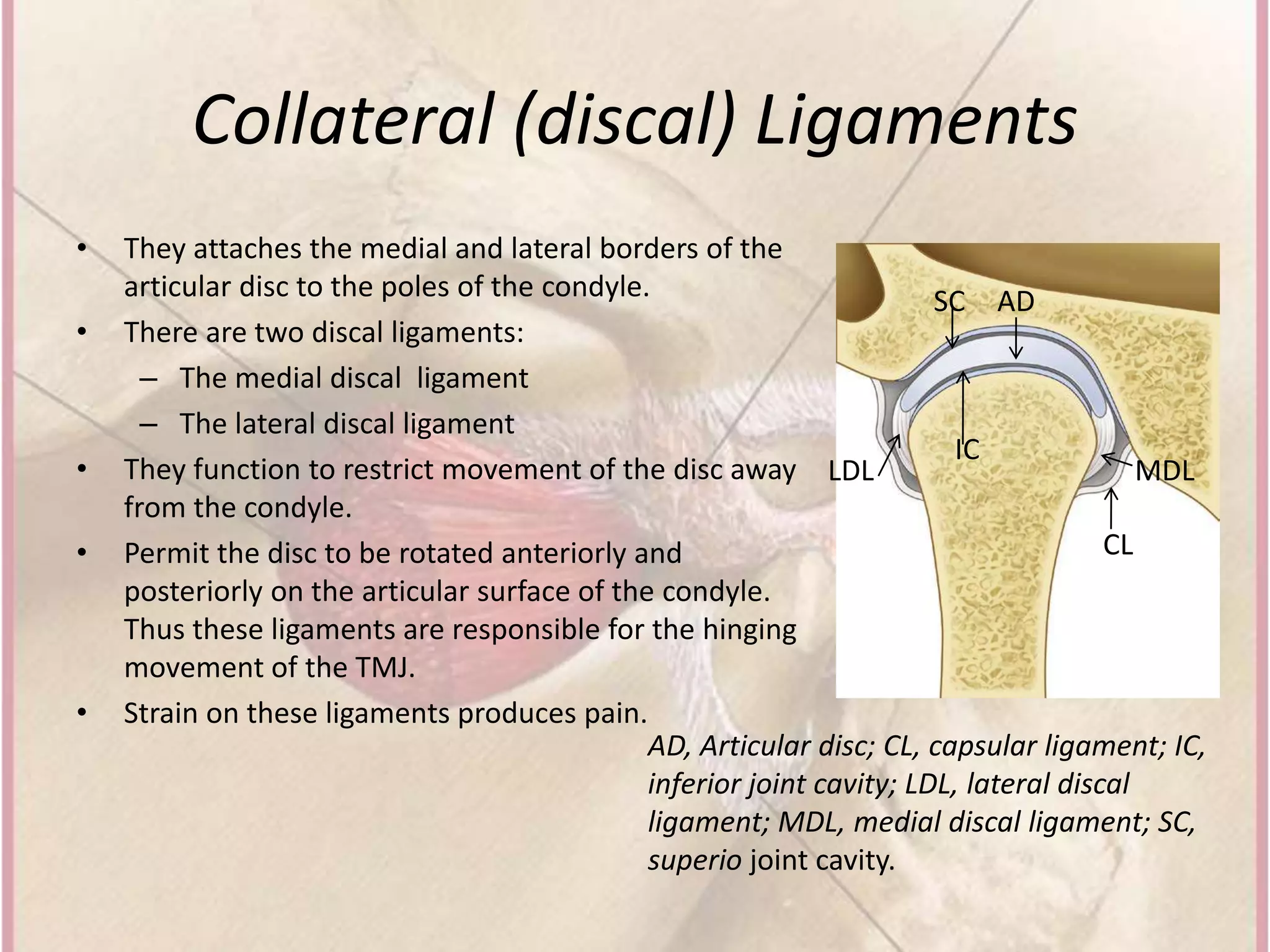 Anatomy of temporomandibular joint(tmj) | PPTX