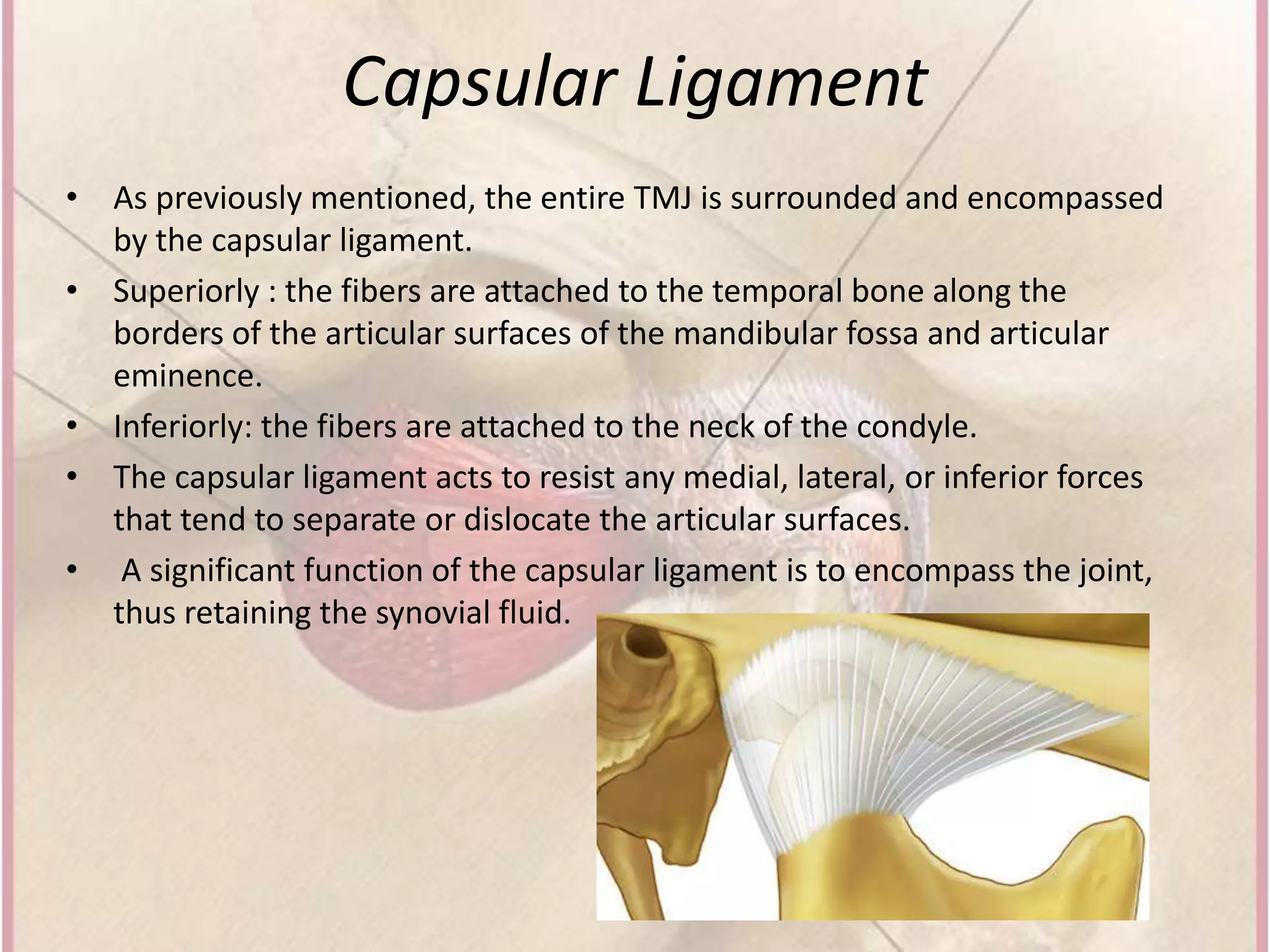 Anatomy of temporomandibular joint(tmj) | PPTX