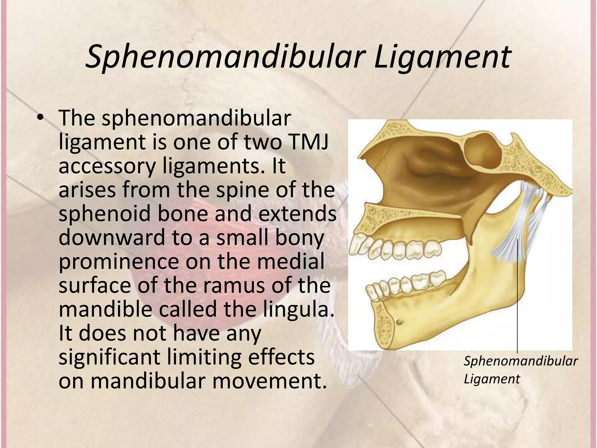 Anatomy of temporomandibular joint(tmj) | PPTX