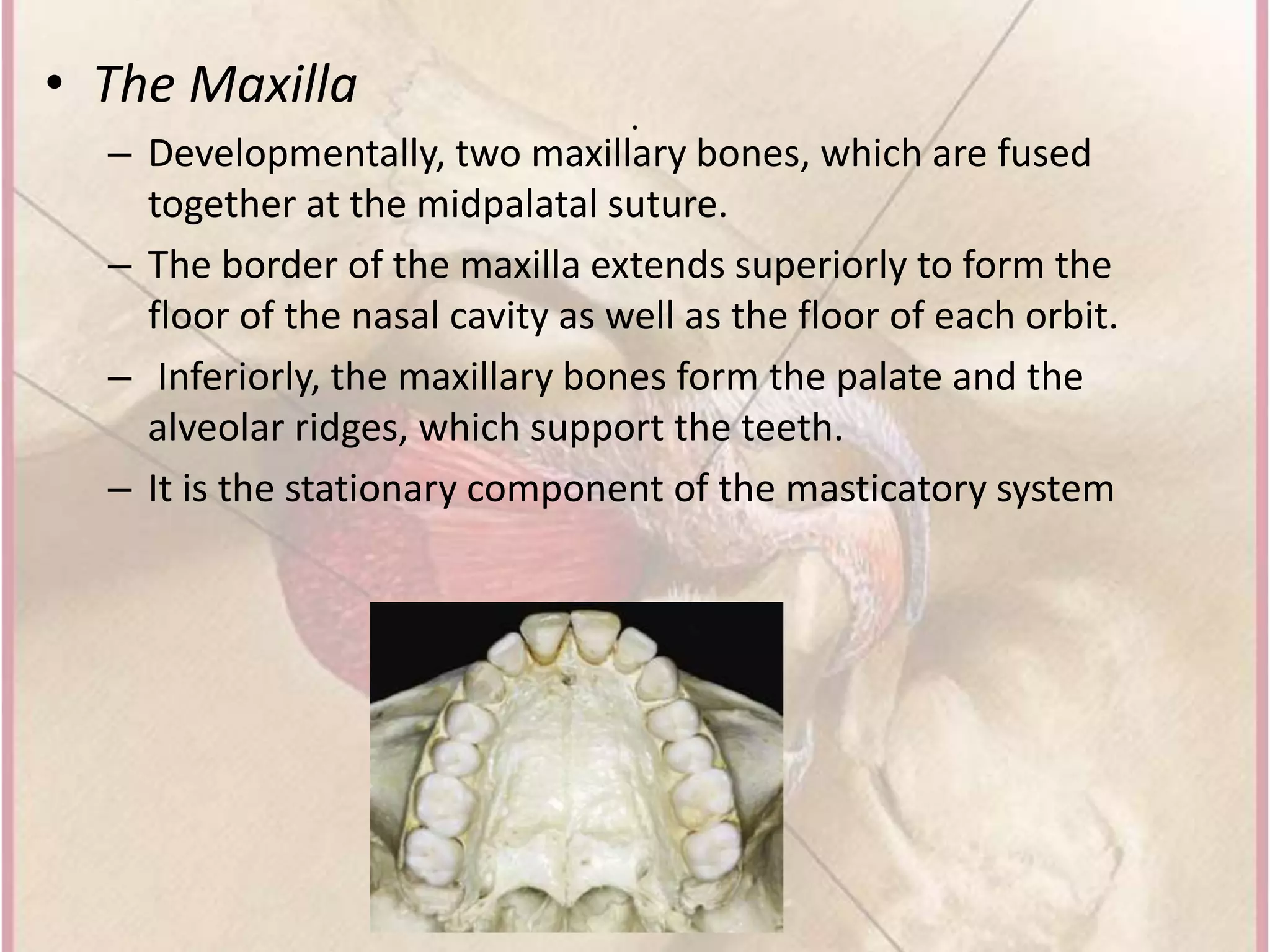 Anatomy of temporomandibular joint(tmj) | PPTX