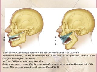 Anatomy of temporomandibular joint(tmj) | PPTX