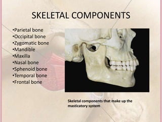 Anatomy of temporomandibular joint(tmj) | PPTX
