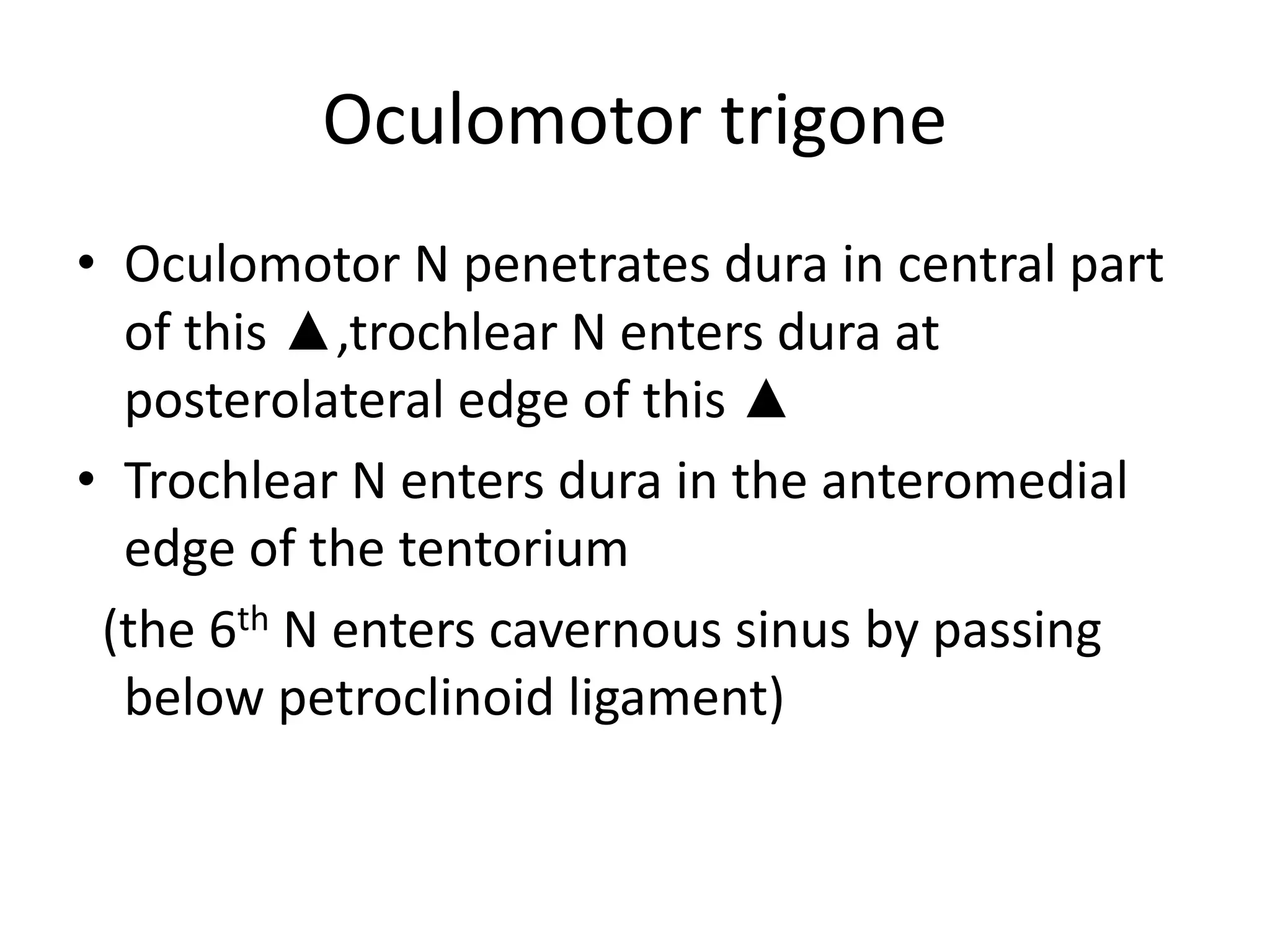ANATOMY OF TENTORIUM INCISURA | PPTX