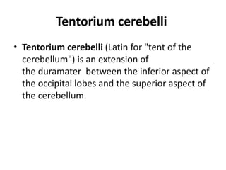 ANATOMY OF TENTORIUM INCISURA | PPTX